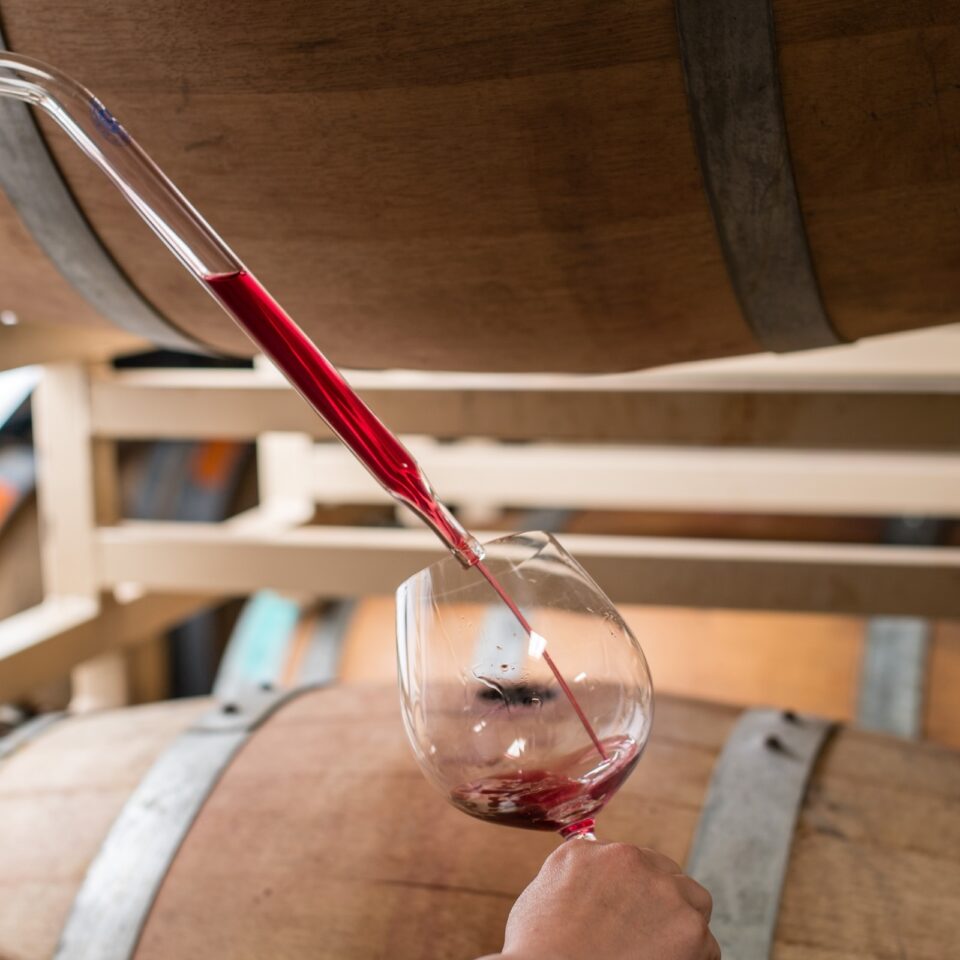 J. Brix Wines | What’s Here | North City