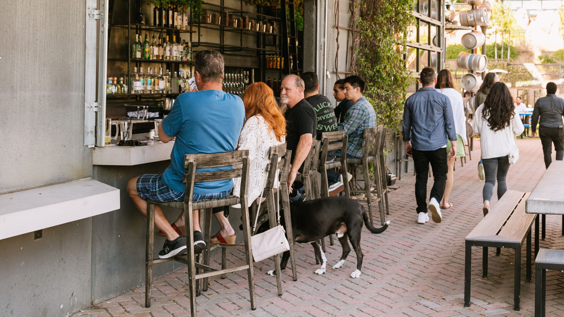 Draft Republic | What’s Here | North City