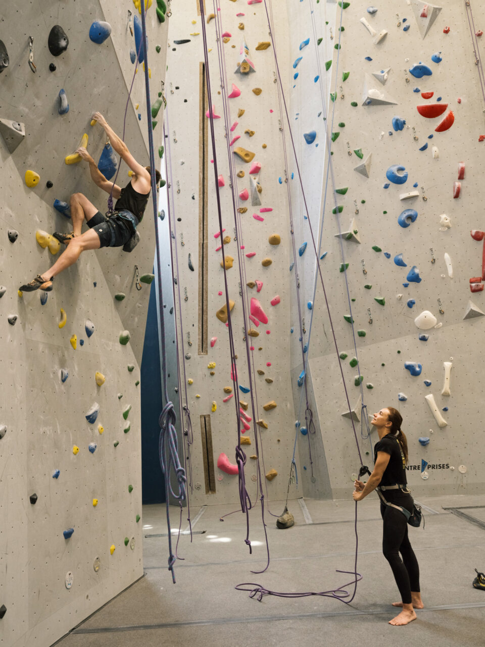 Mesa Rim | What’s Here | North City